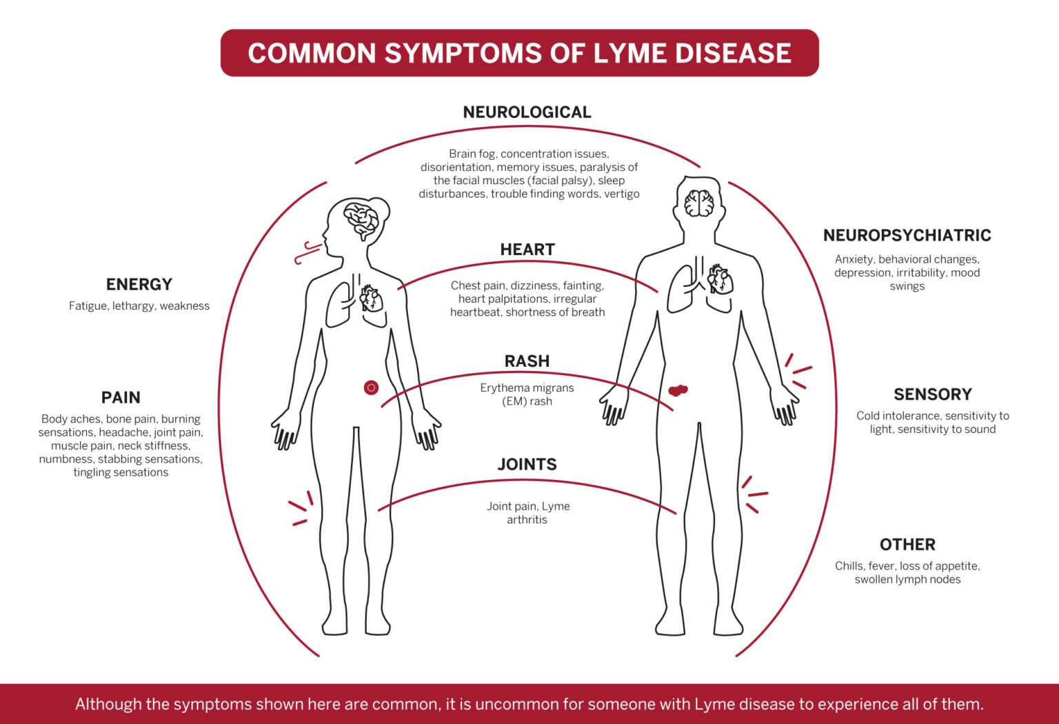 Experiencing Lyme Disease Symptoms