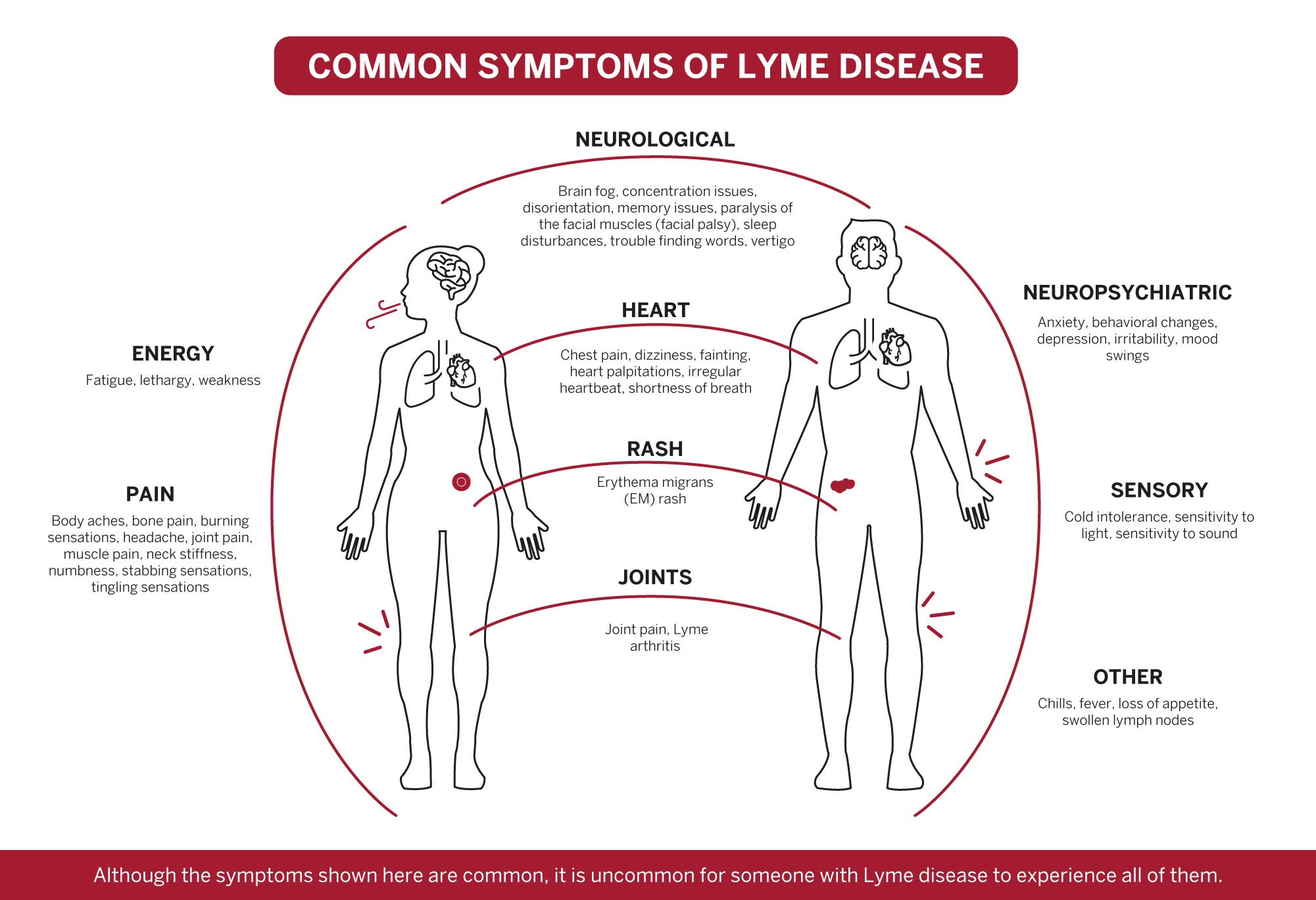 Experiencing Lyme Disease Symptoms